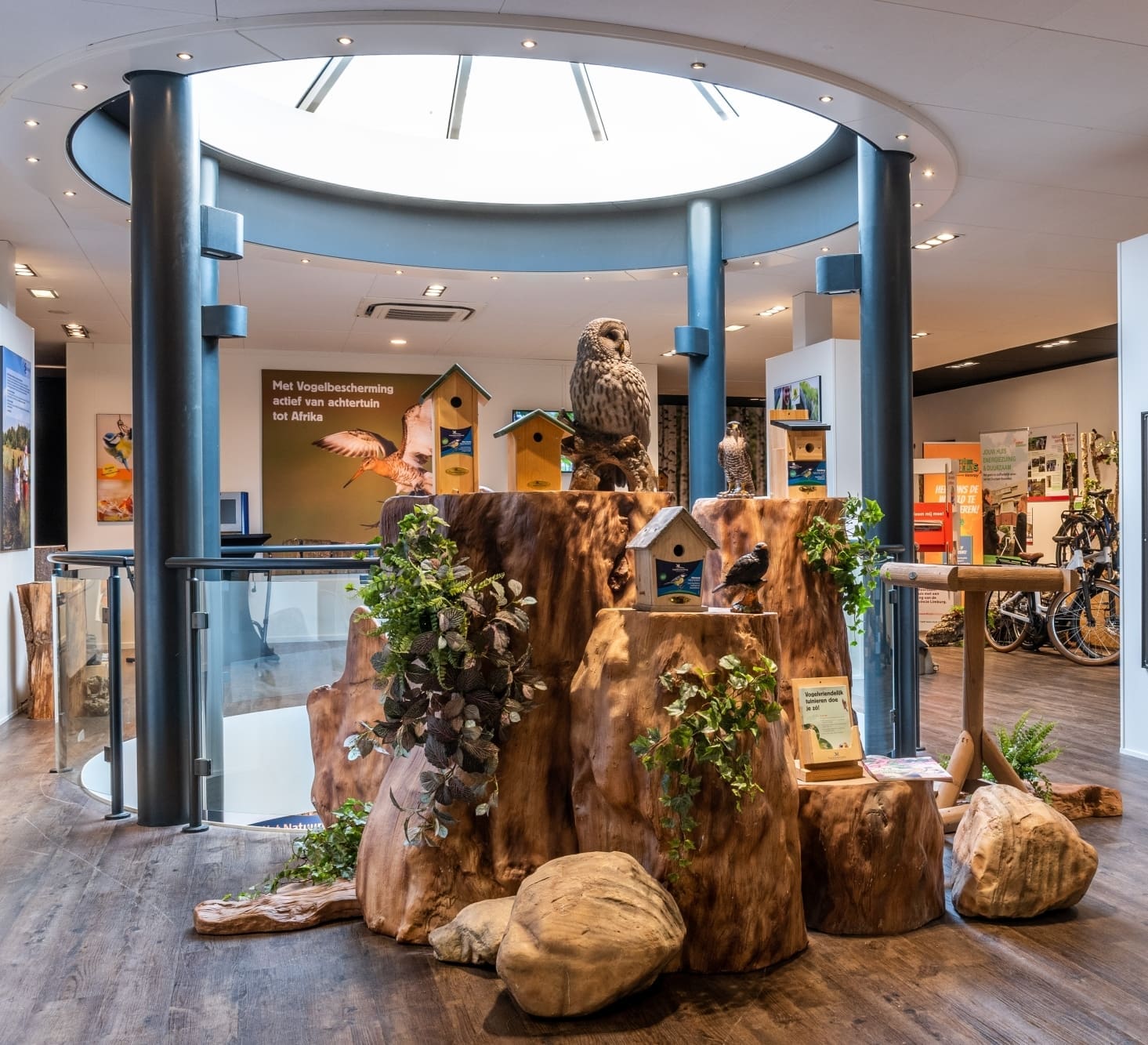 Pro Nature Shop | Powered By Vivara - Pro Nature Shop
